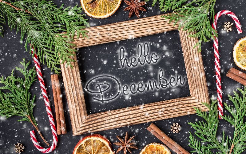 37 December Writing Prompts For Kids | Night Zookeeper Blog