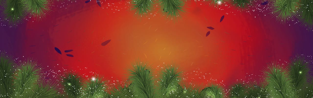 Gifts | Night Zookeeper